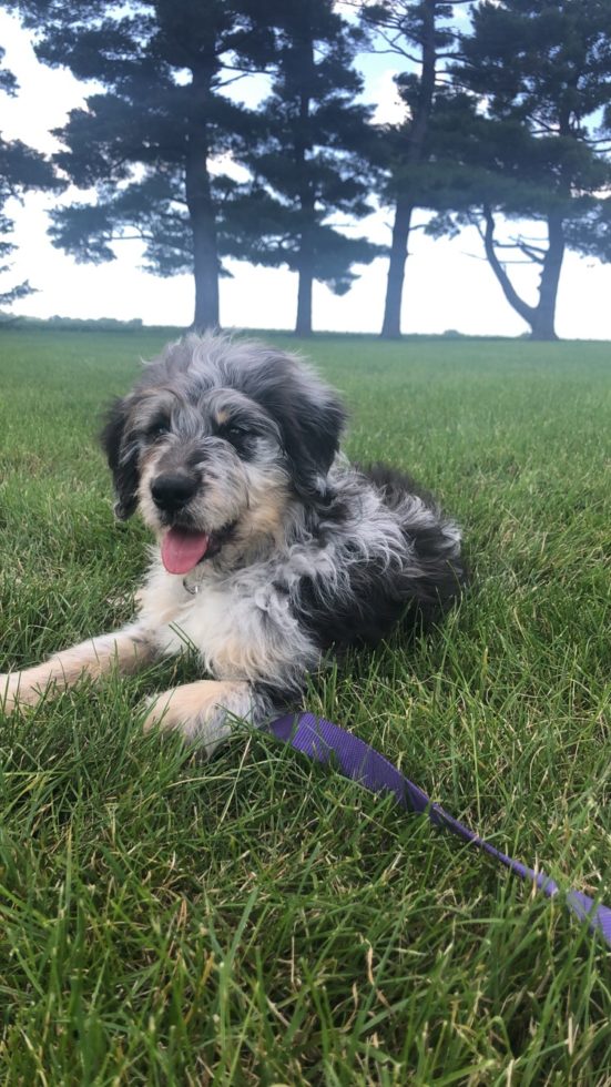 Meet Emerging Leader Kyle Roper - McGrath Auto Blog